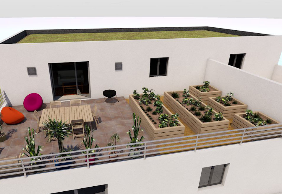 Un potager en toit terrasse. – Légumes urbains